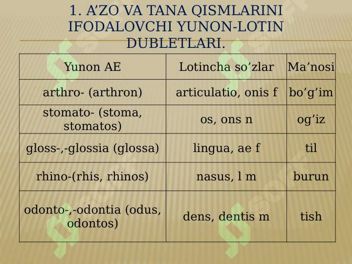 KLINIK TERMINLAR YASOVCHI ATAMA ELEMENTLAR . AZO VA TANA QISMLARINI ...