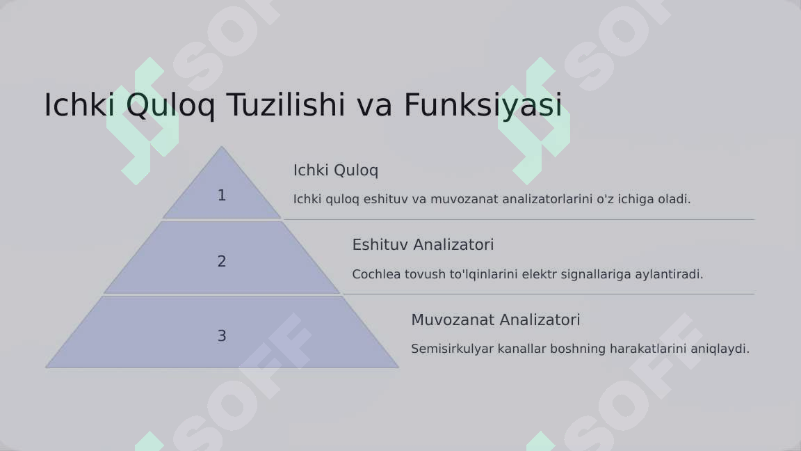 Ichki quloq eshituv va muvozanat analizatorlarini o'tkazuv yo'li