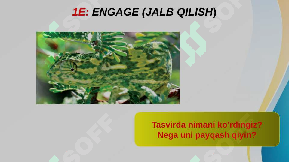 Yashash muhitiga moslanish