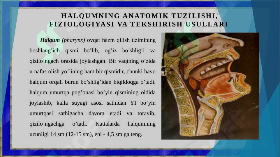 Halqum va hiqildoq anatomiyasi, fiziologiyasi va tekshirish usullari.