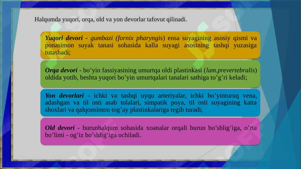 Halqum va hiqildoq anatomiyasi, fiziologiyasi va tekshirish usullari.