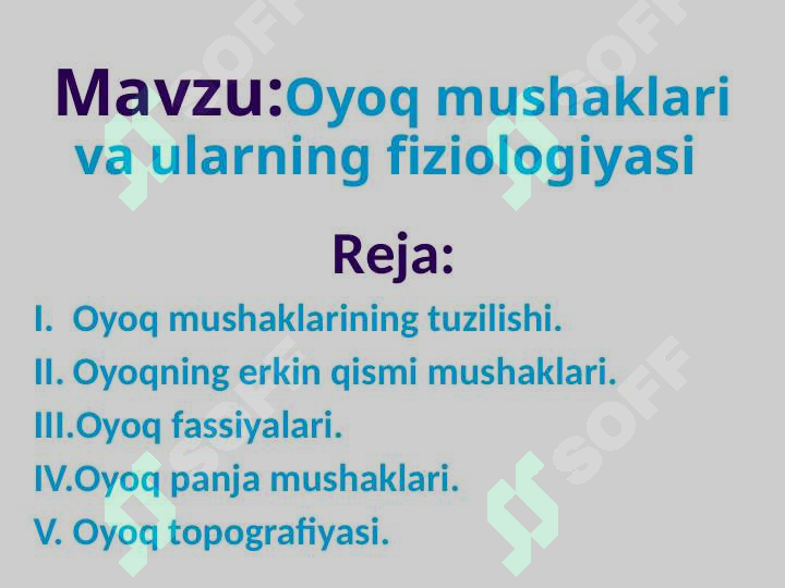 Oyoq muskullari va ularning fiziologiyasi.