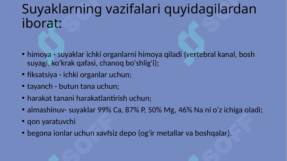 Bolalarda suyak tizimini anatomo – fiziologik hususiyatlari. Skeletni ...