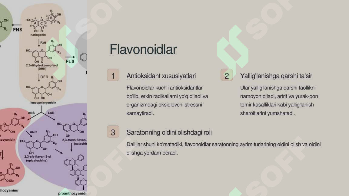 Dorivor o’simliklar davolashdagi prinsiplari va dorilar farmakokinetikasi