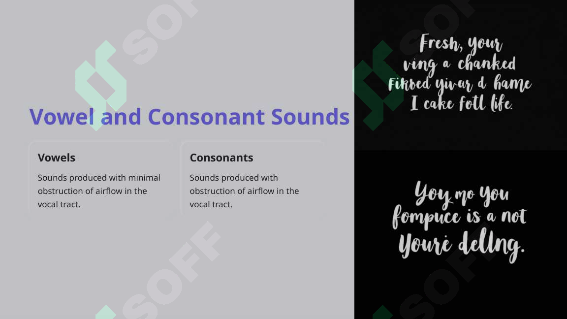 The system of consonant phonemes in English