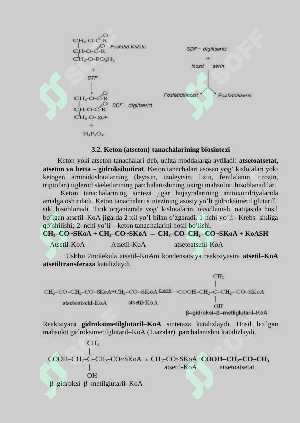 lipidlarni anabolizmi. Lipidlar biosentizi.Biologik membrana trasnporti