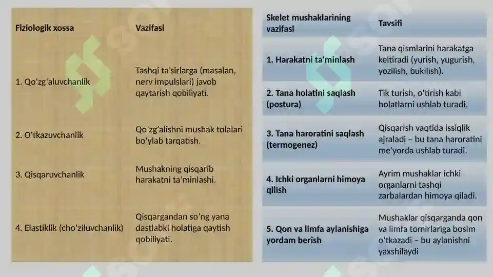 Muskullar fiziologiyasi