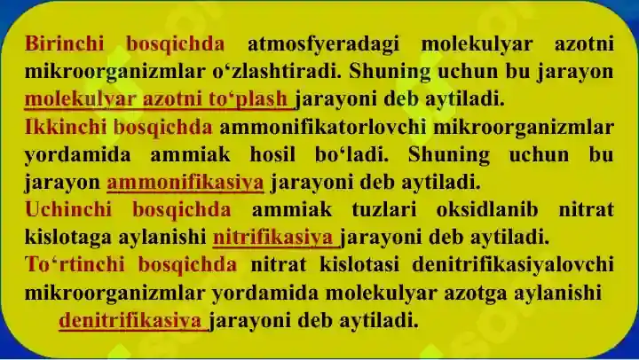 Azot va uning o'zgarishi