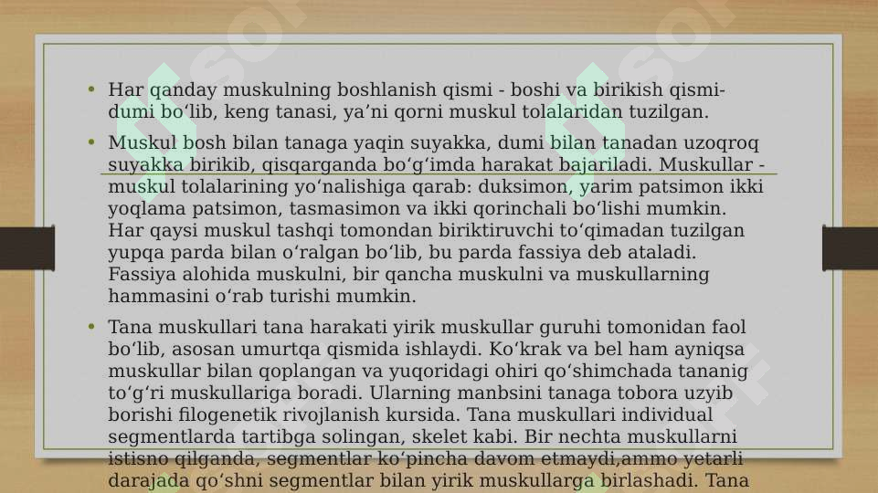 Muskul tizimi va uning yoshga bog'liq xususiyatlari