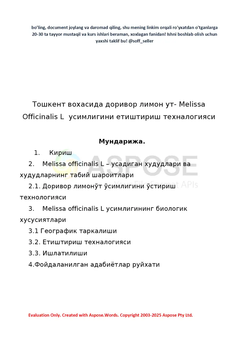 Toshkent vohasida dorivor limon oʻt (Melissa officinalis L) oʻsimligini ...