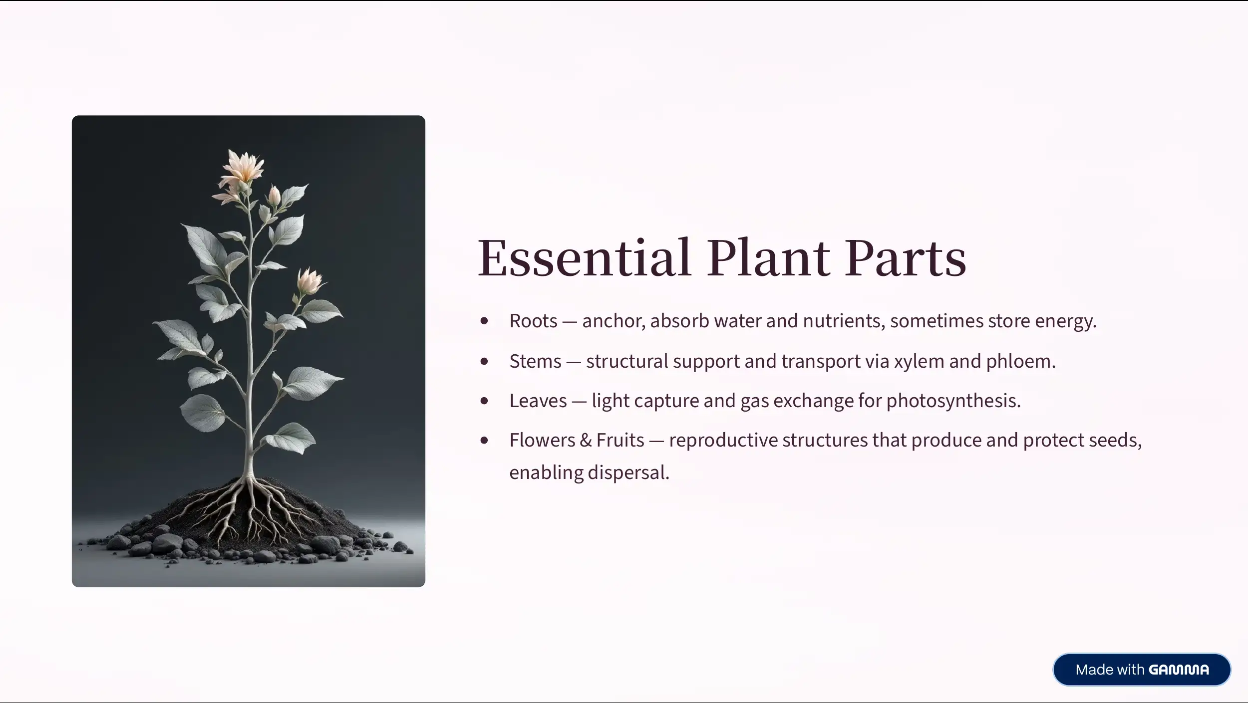 Essential Plant Parts