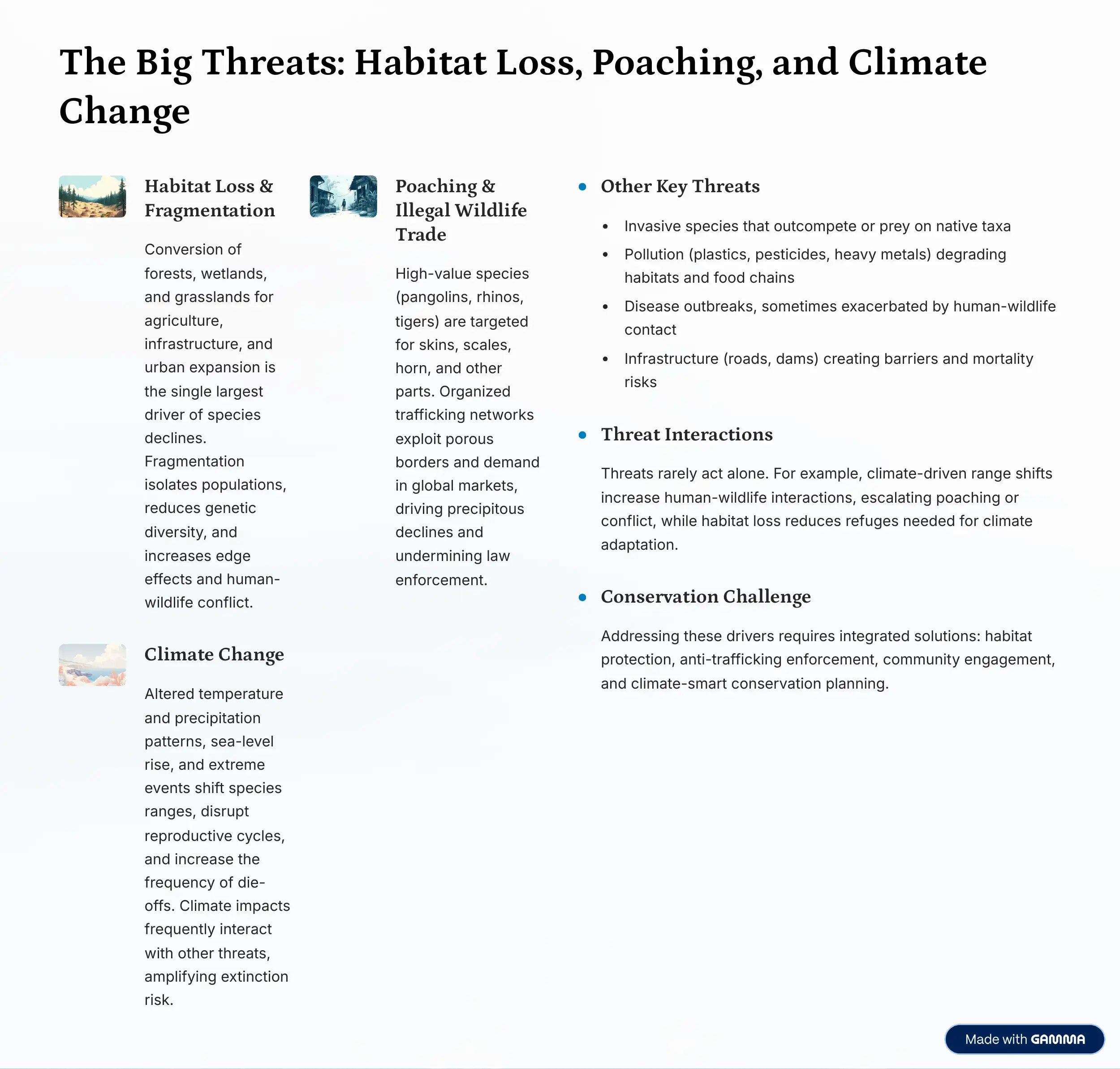 The Silent Extinction: Understanding Endangered Animals