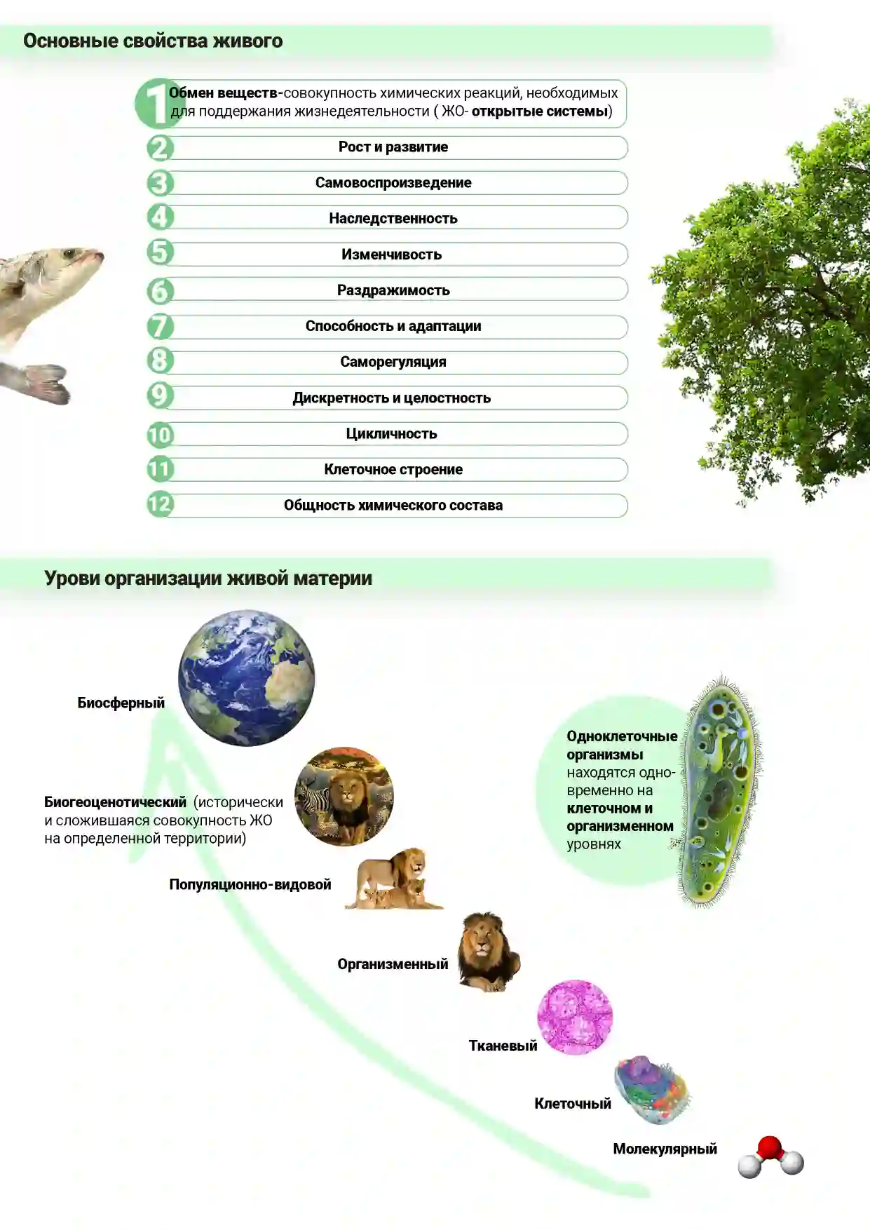Общая биология (Umumiy biologiya) fanini rus tilida o'rganuvchi va o ...