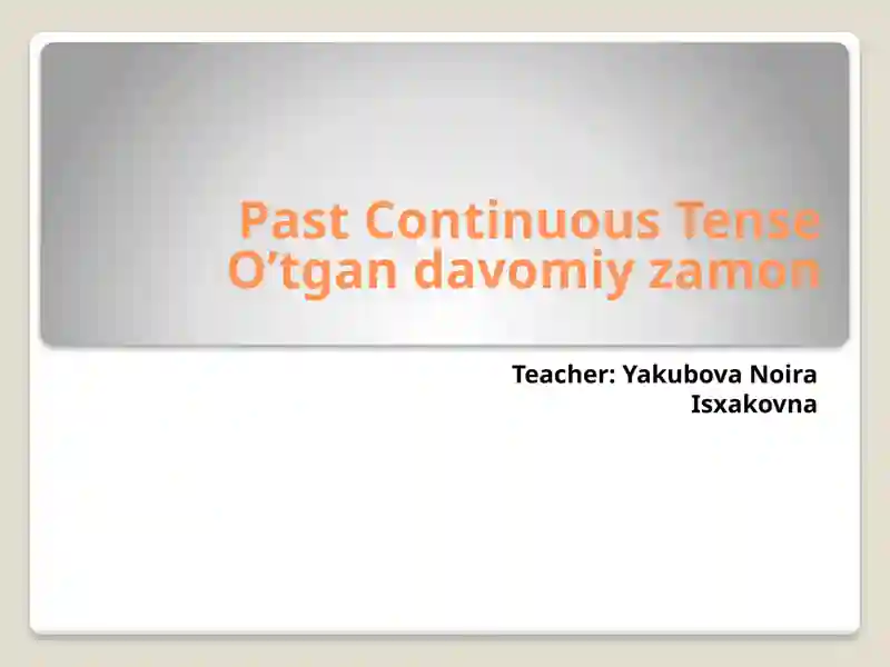 Past Continuous Tense