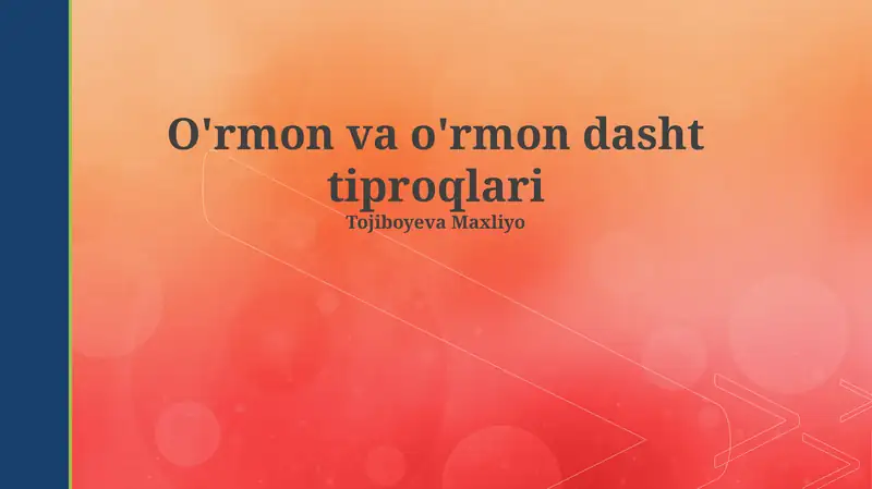 O'rmon va o'rmon dasht tiproqlari