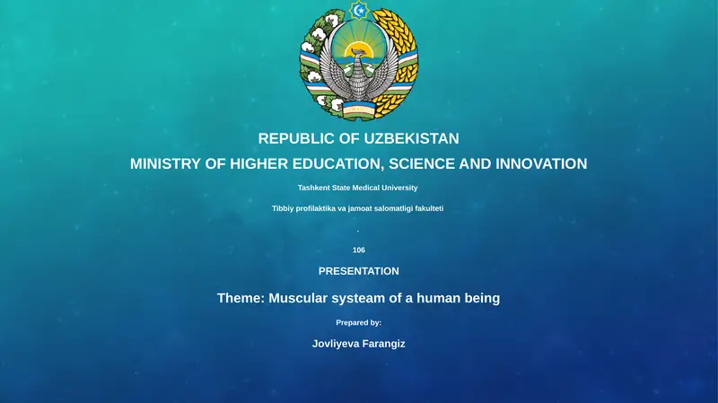 Muscular system of a human being