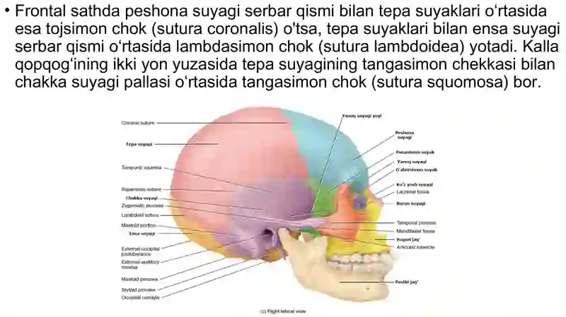 KALLA SUYAGI
