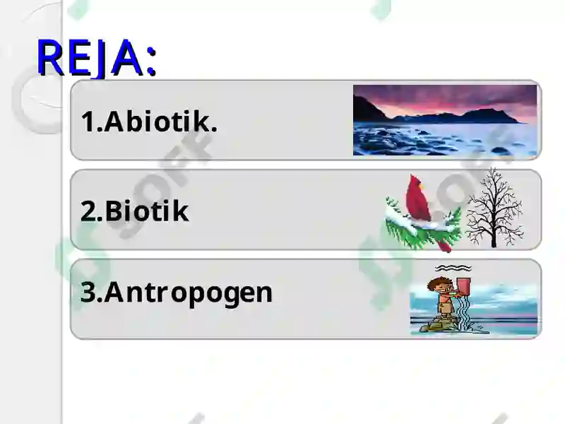 Abiotik, biotik, antropogen omillar