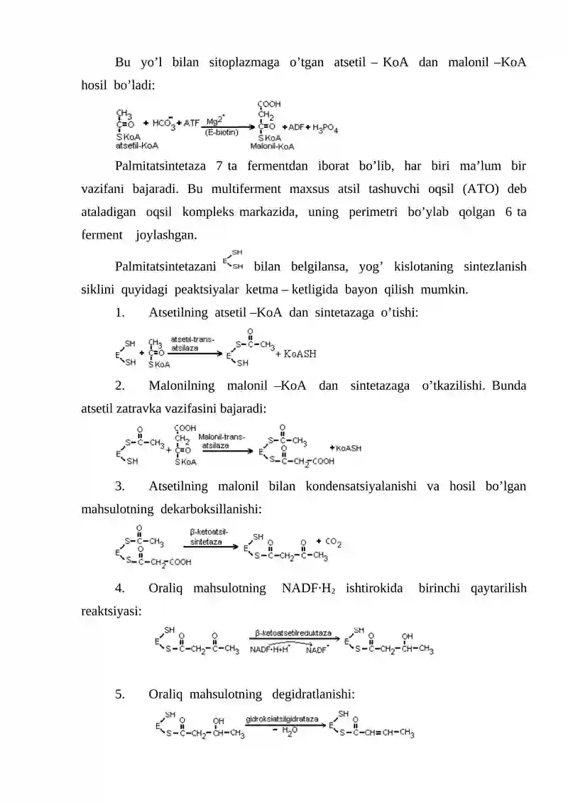 Lipidlar anabolizmi