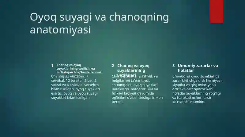 Chanoq va oyoq suyaklarining anatomiyasi