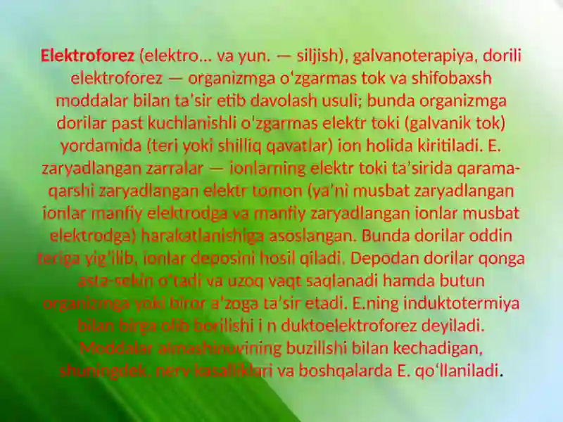 Elektroforez Jihozlari