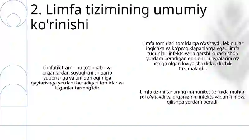 Limfa Sistemasi Anatomiyasi