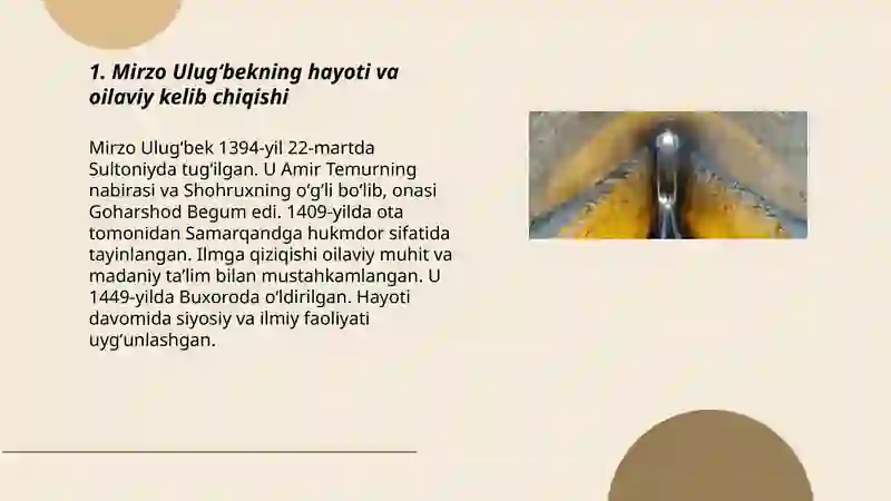 Mirzo Ulugʻbek haqida