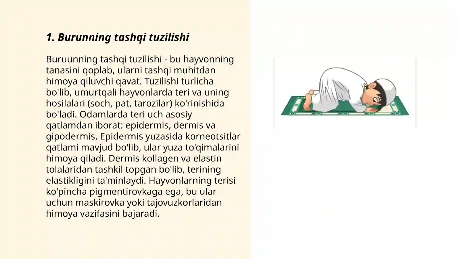 Burun, halqum va hiqildoqning anatomo -fiziologik xususiyatlari