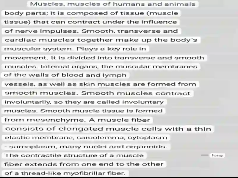 Muscular system of a human being.