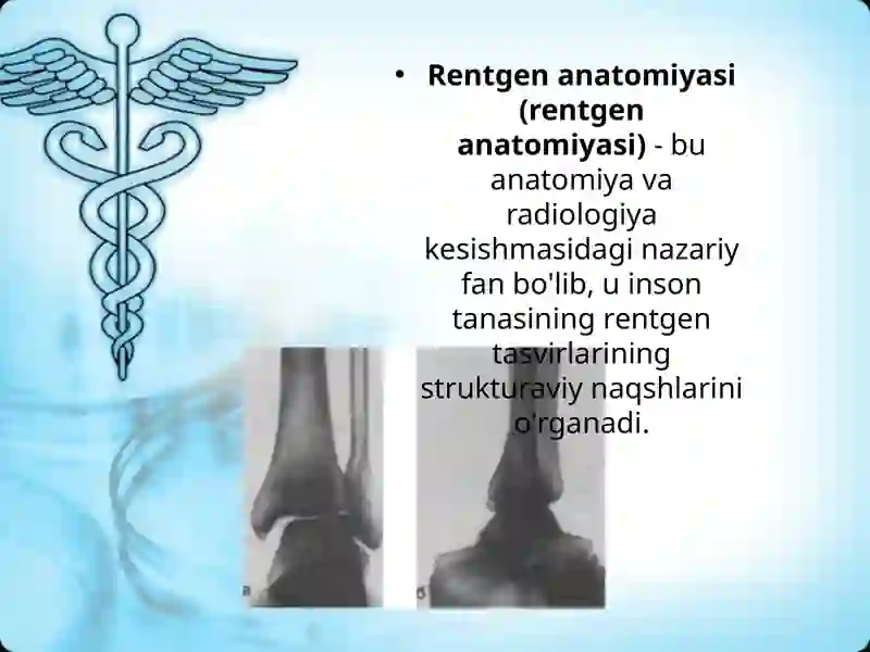 Oyoq panjasi suyaklarining rentgeno anatomiyasi