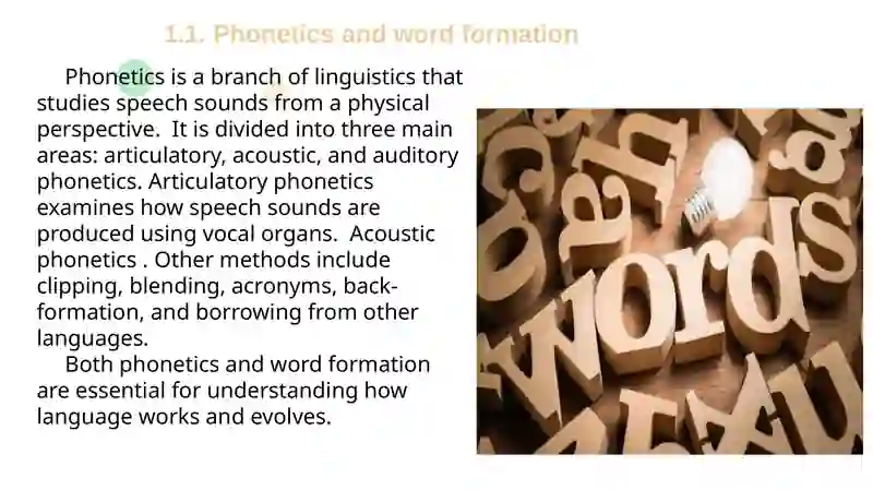 THE RELATIONSHIP BETWEEN PHONETICS AND WORD STRUCTURE