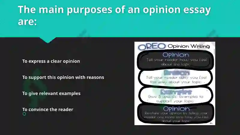 Opinion Essay Structure