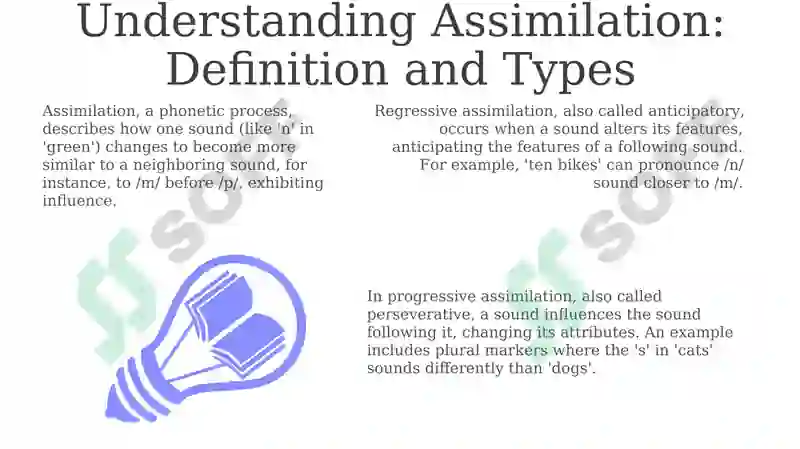 Understanding Assimilation: Definition and Types