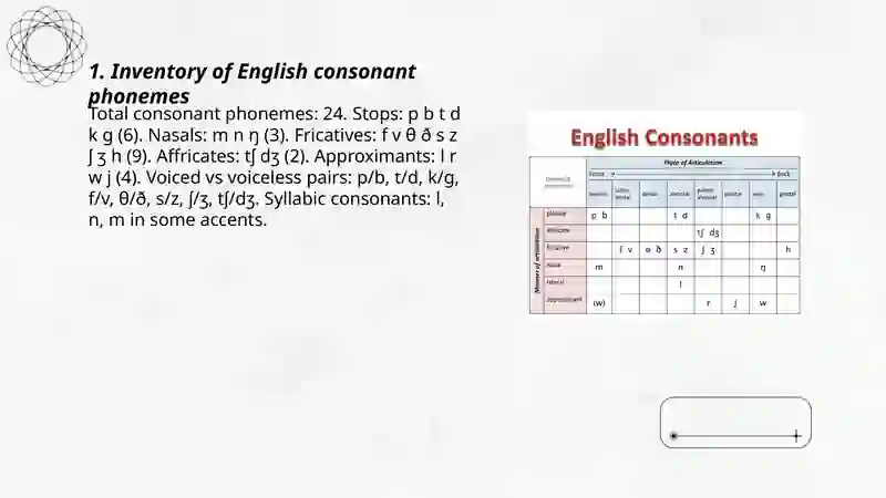 The system of consonant phonemes in english