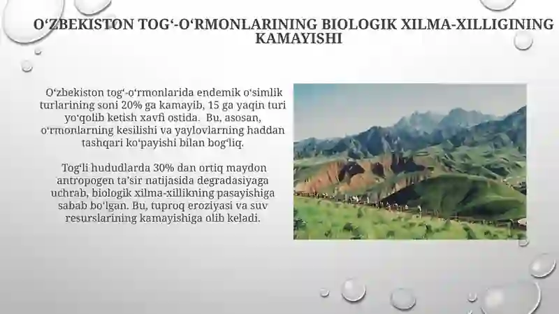 Oʼzbekistonning togʼ-oʼrmon ekotizimlarining antropogen omillar ...