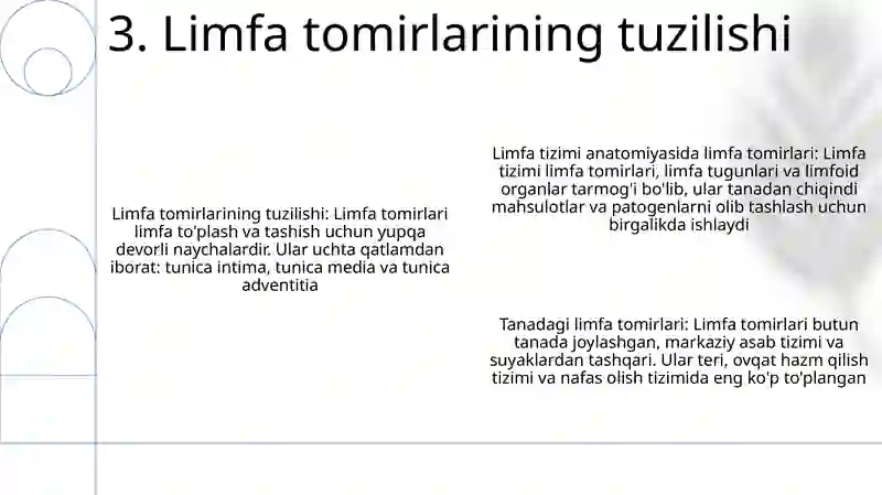 Limfa Sistemasi Anatomiyasi