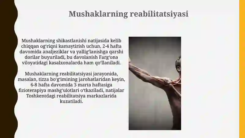 Muskullar haqida umumiy tushuncha