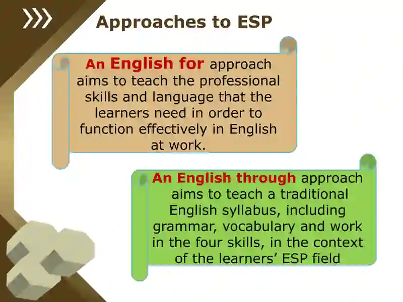 THE ROLE OF THE STUDENT ESP