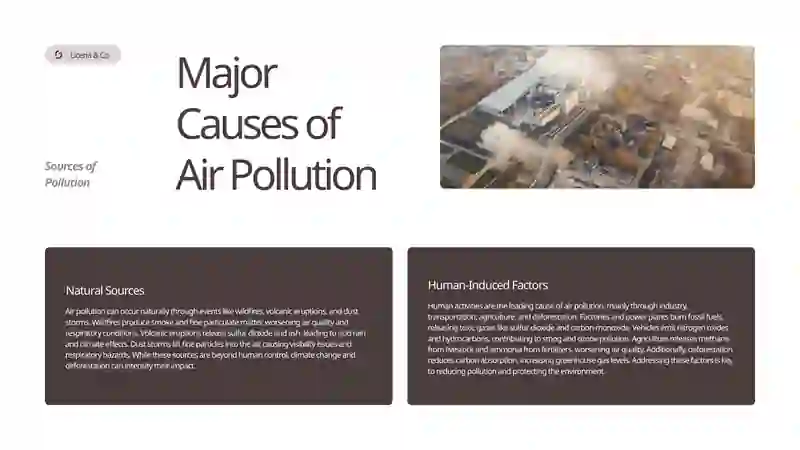 Air Pollution: Causes, Effects, and Solutions