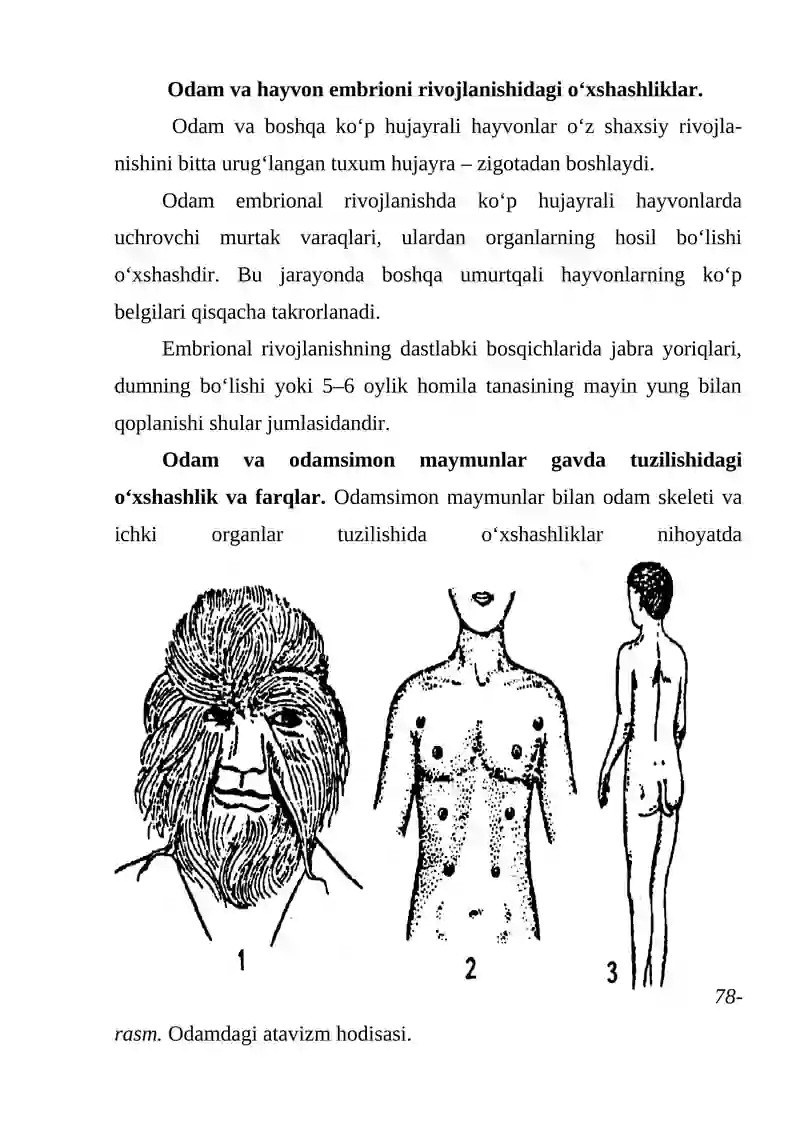 Odam evolutsiyasi