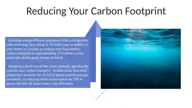 Creating a Sustainable Future Campaign