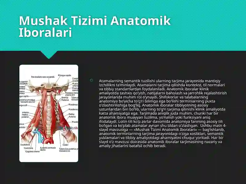 Anatomik terminologiyaning tarjima asoslari