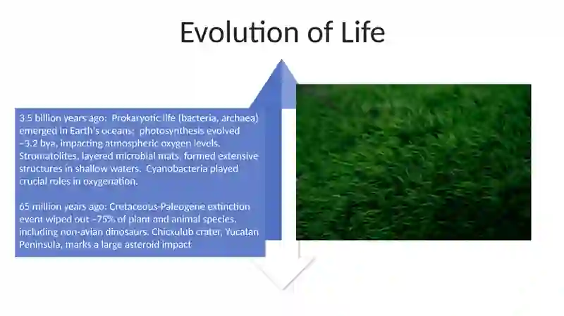 LIFE ON EARTH