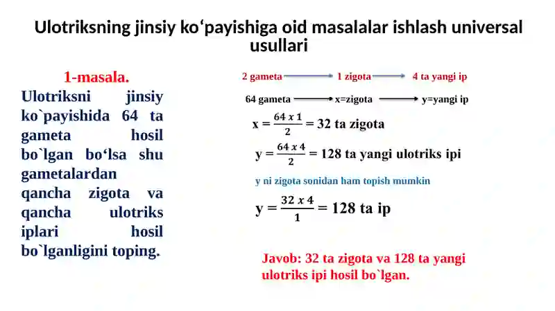 Ulotriks jinsiy ko‘payish texnologiyasi