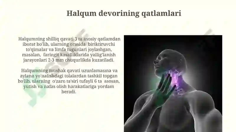 Halqum anatomiyasi va tekshirish usullari