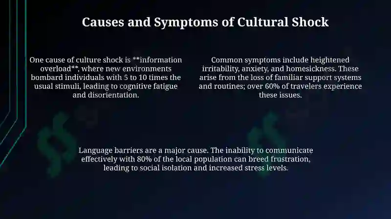 Cultural Shock