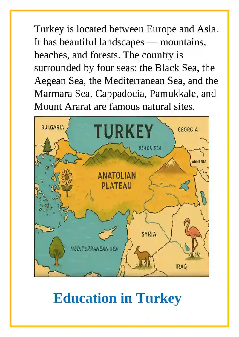 History of Turkey