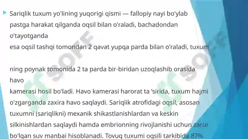 Tuxum hujayrasining qobiqlari, ularning shakllanishi