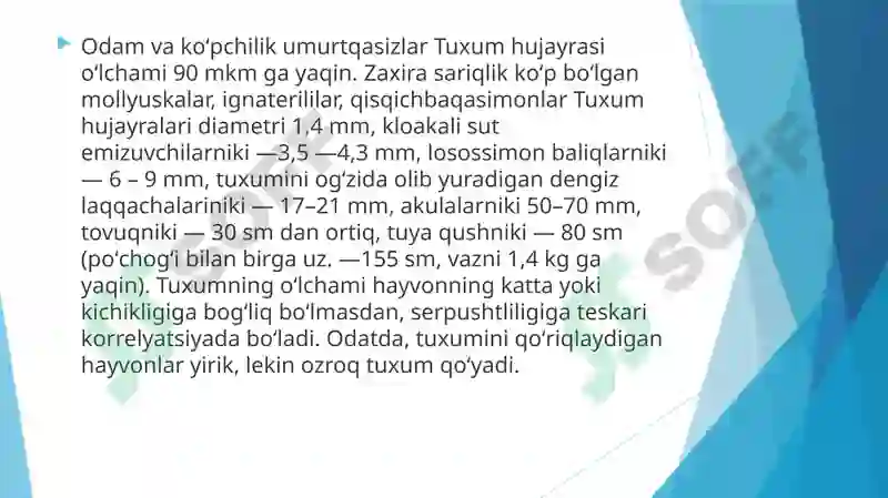 Tuxum hujayrasining qobiqlari, ularning shakllanishi